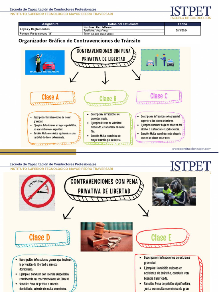 Organizador Gráfico de Contravenciones de Tránsito | PDF