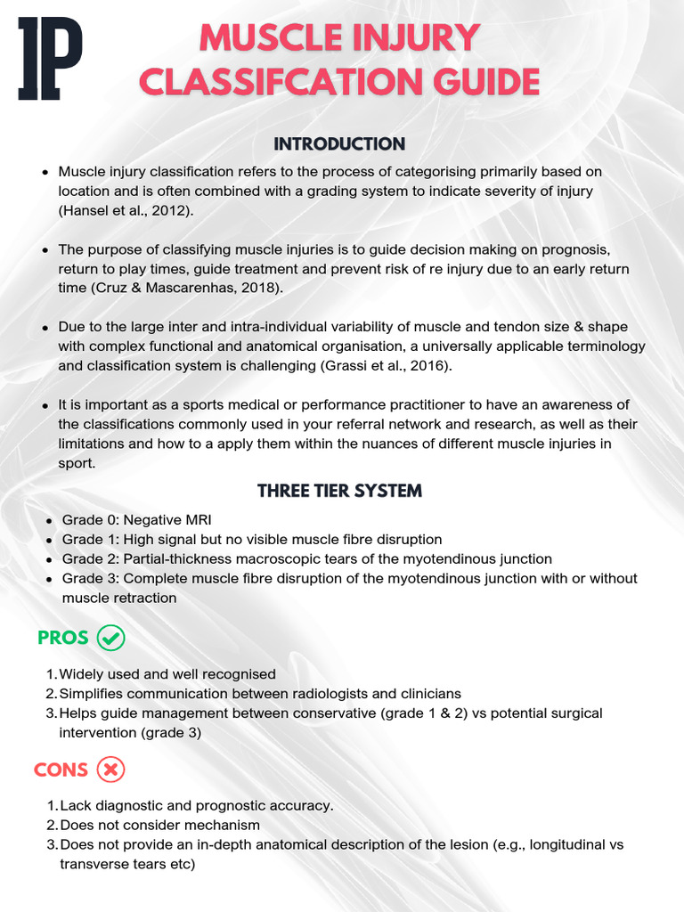 Muscle Injury Classifcation Guide | PDF | Tendon | Skeletal Muscle