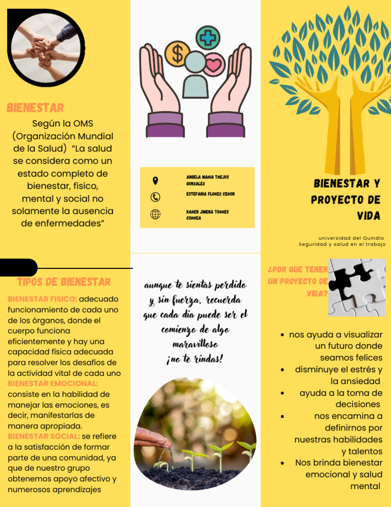 Bienestar Y Proyecto De Vida Pdf