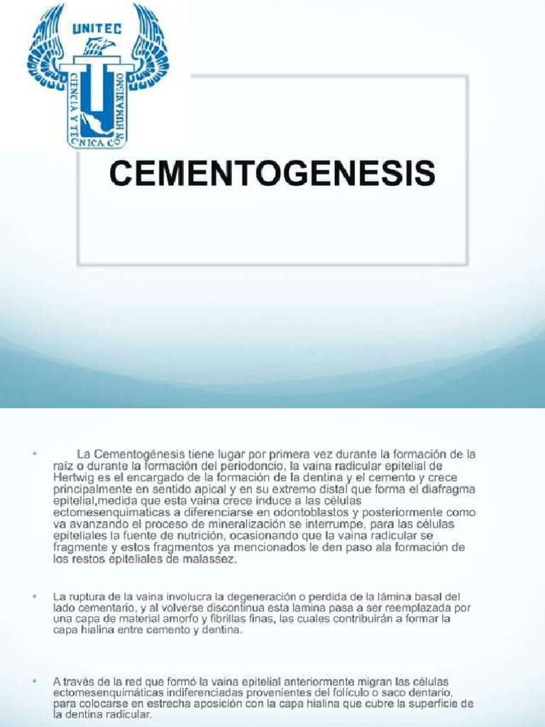 Cementogenesis | PDF
