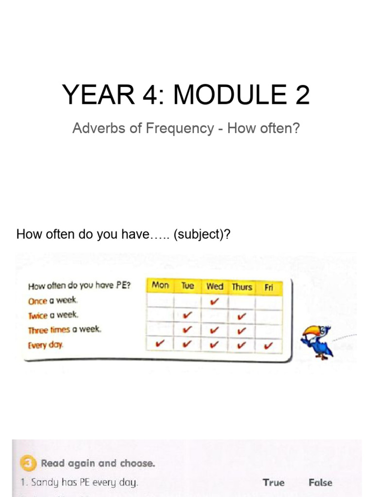 YEAR 4_ MODULE 2- Adverbs of Frequency (How often_) | PDF