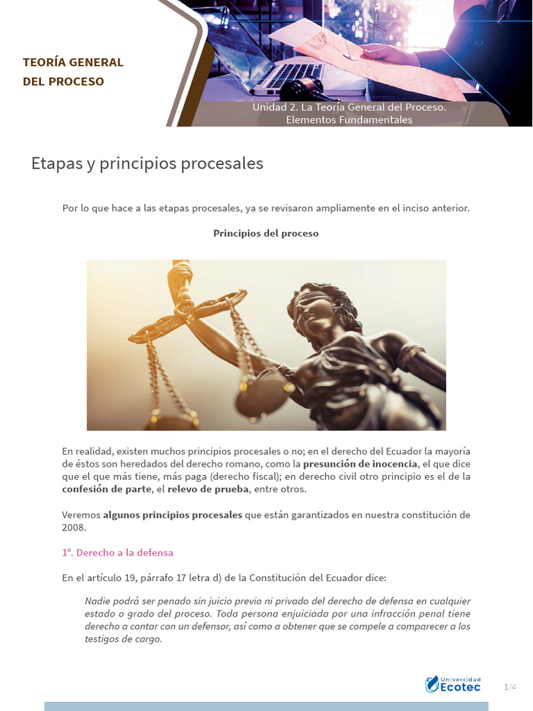 Etapas y principios procesales | PDF | Ley común | Ley Pública