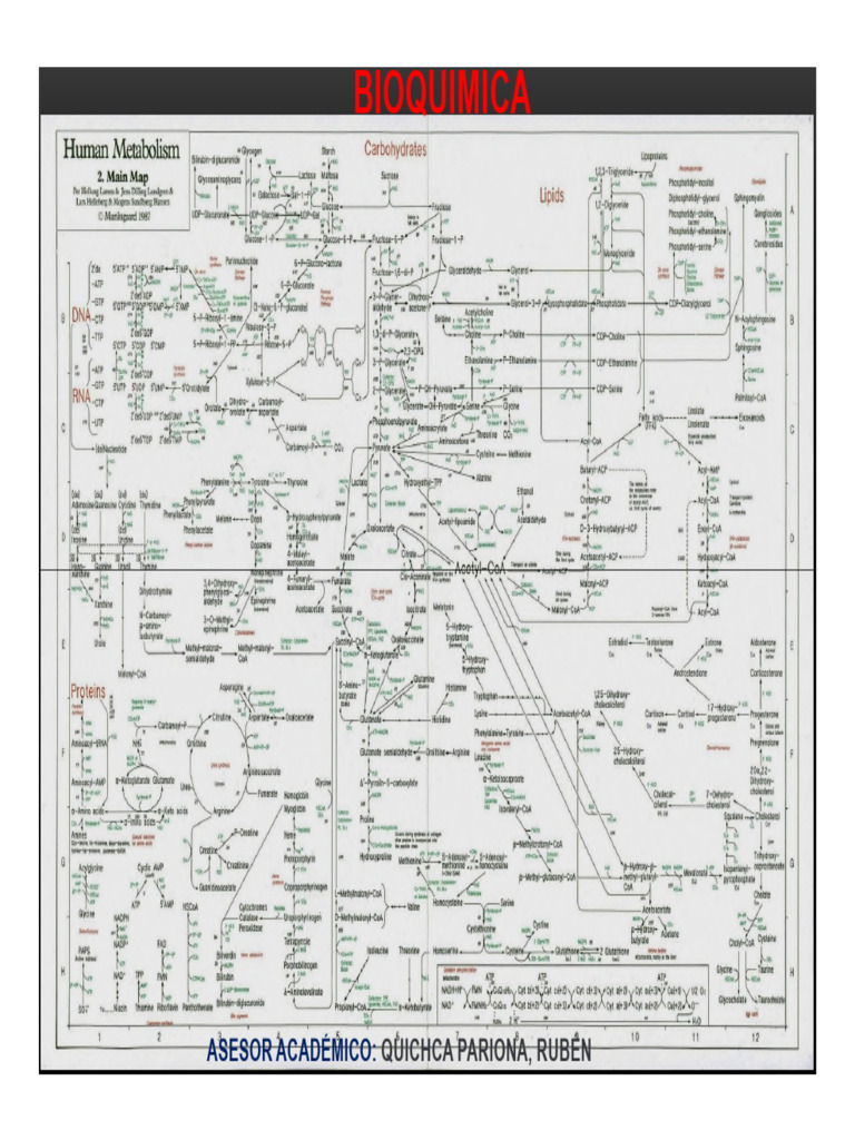 Fundamentos de Bioquímica y Biomoléculas | PDF | Rna | Carbohidratos