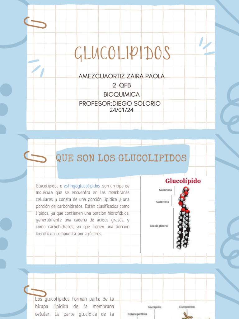 Los Glucolipidos | PDF | Membrana celular | Bicapa lipídica