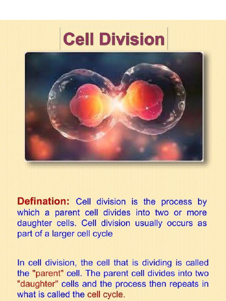 cell division_lesson 2 | PDF