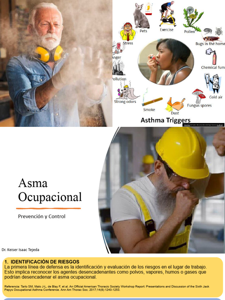 Asma Ocupacional Prevencion (2) | PDF | Cuidado de la salud | Medicina