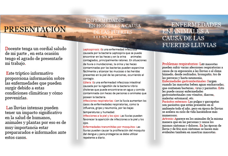 triptico (1) | PDF | Infección | Influenza