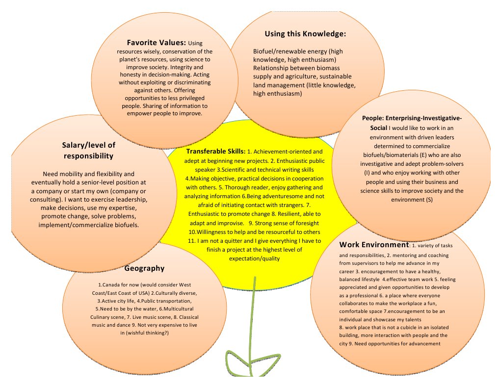 Flower Diagram Exercise From Dick Bolles' "What Color Is Your Parachute ...