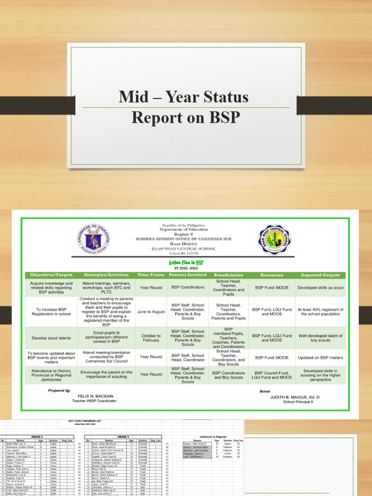 Mid-Year BSP Activities Report | PDF