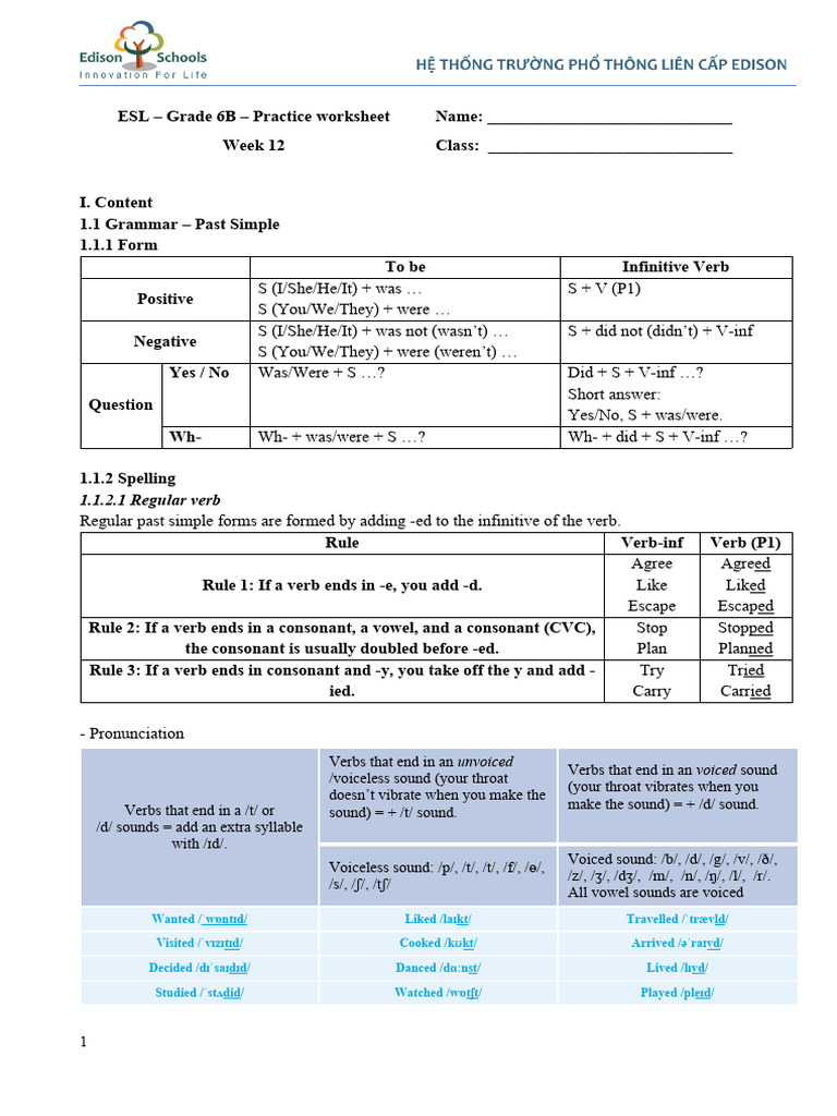 Grade 6B ESL Past Simple Practice Worksheet | PDF | Noun | Syntax
