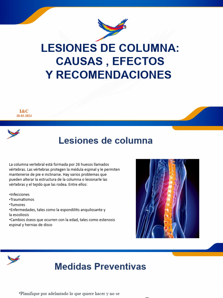 Lesiones de Columna Causas, Efectos y Recomendaciones | Descargar gratis PDF | La columna ...