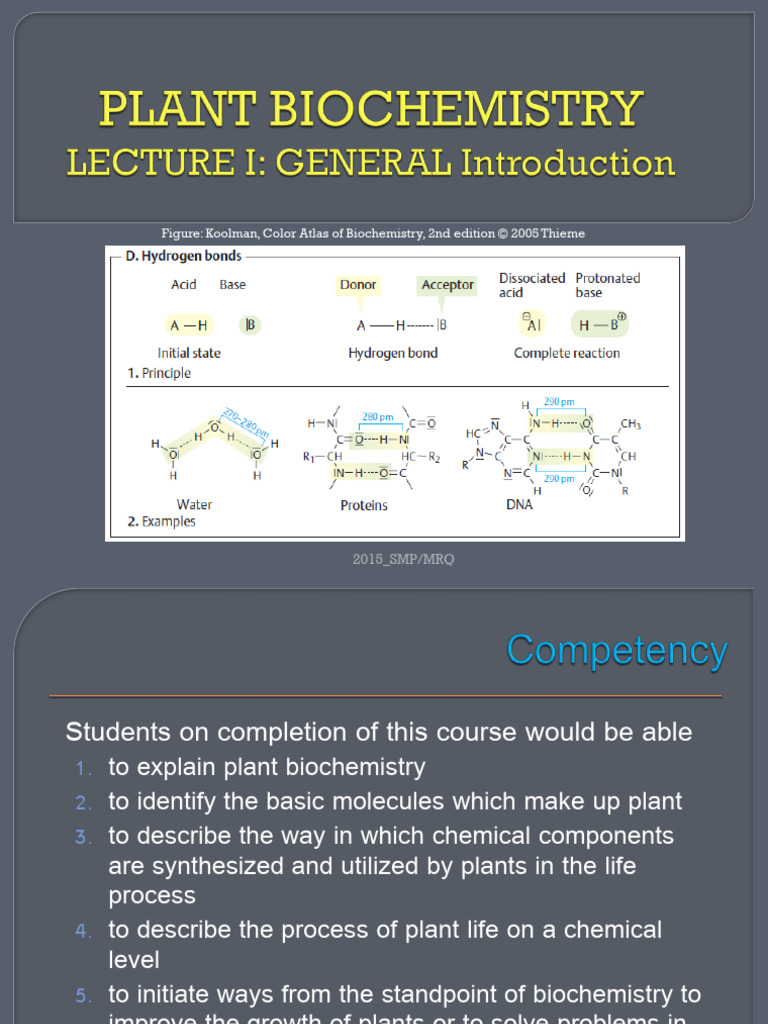 Understanding Plant Biochemistry Basics | PDF | Biochemistry | Chemistry