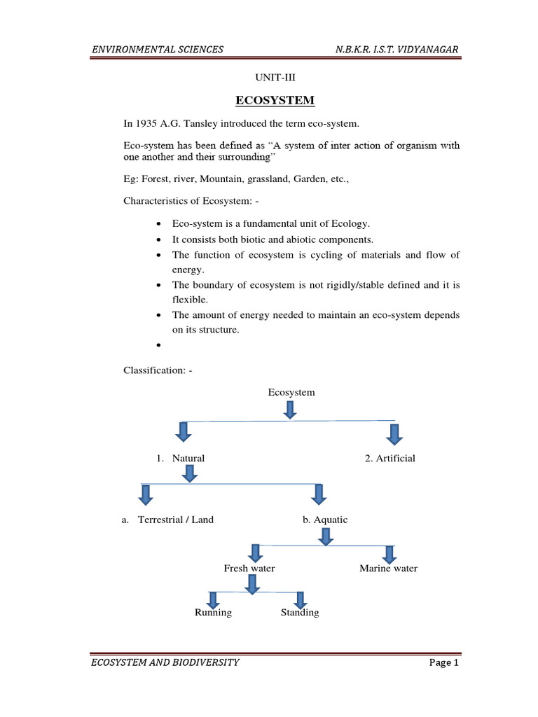 Ecosystem and Biodiversity Overview | PDF | Ecosystem | Food Web