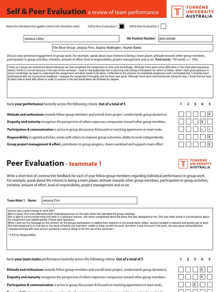 New Peer Review Form | Download Free PDF | Behavior Modification ...