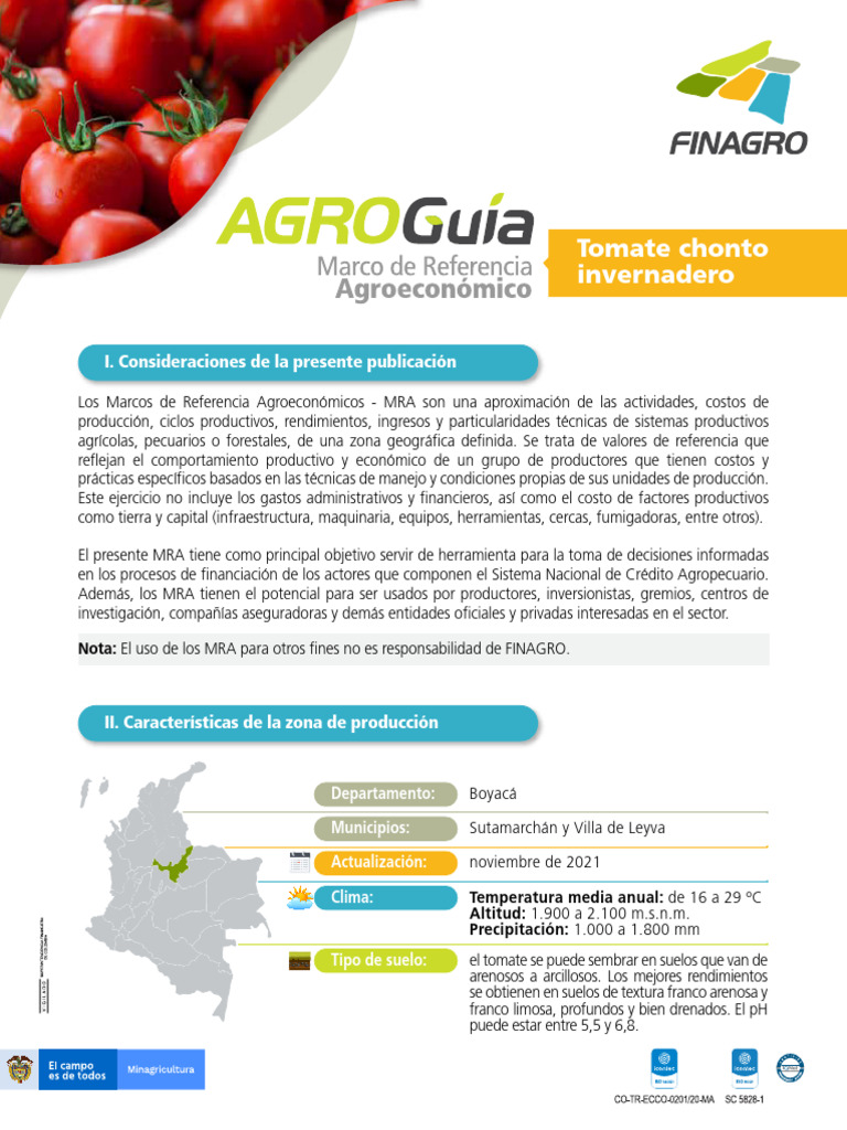 Producción de Tomate Chonto en Invernadero | PDF | Economias