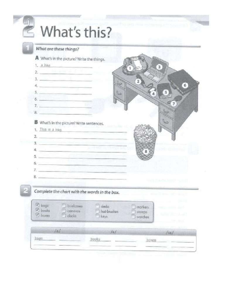 Homework Unit 2 | PDF