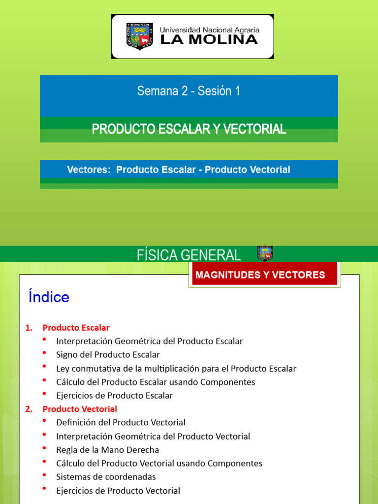 Producto Escalar y Vectorial: Guía Completa | PDF | Vector Euclidiano | Escalar (Matemáticas)