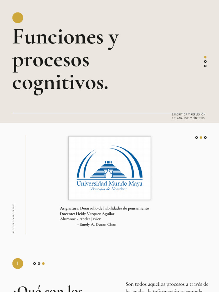Procesos Cognitivos Pdf Pensamiento Mente