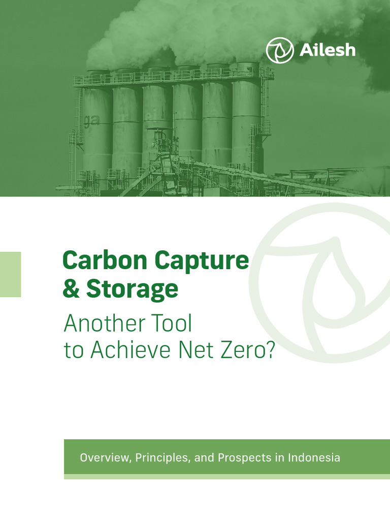 Ailesh White Paper 1 2023 | PDF | Carbon Capture And Storage | Climate ...