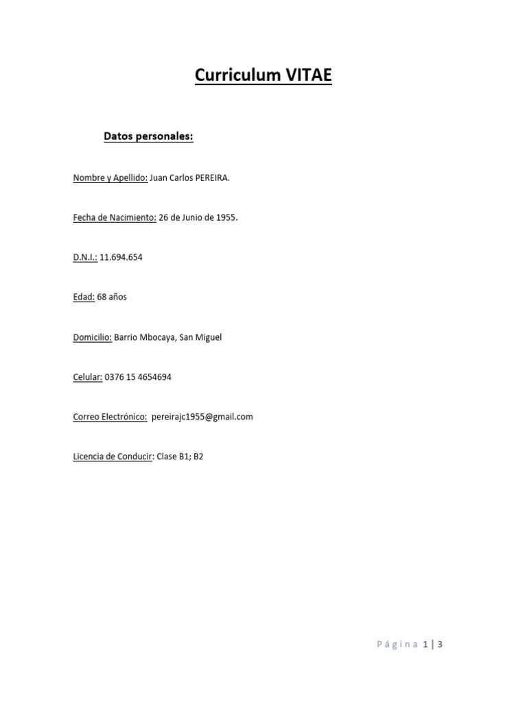 Curriculum VITAE - Juan Carlos Pereira | PDF