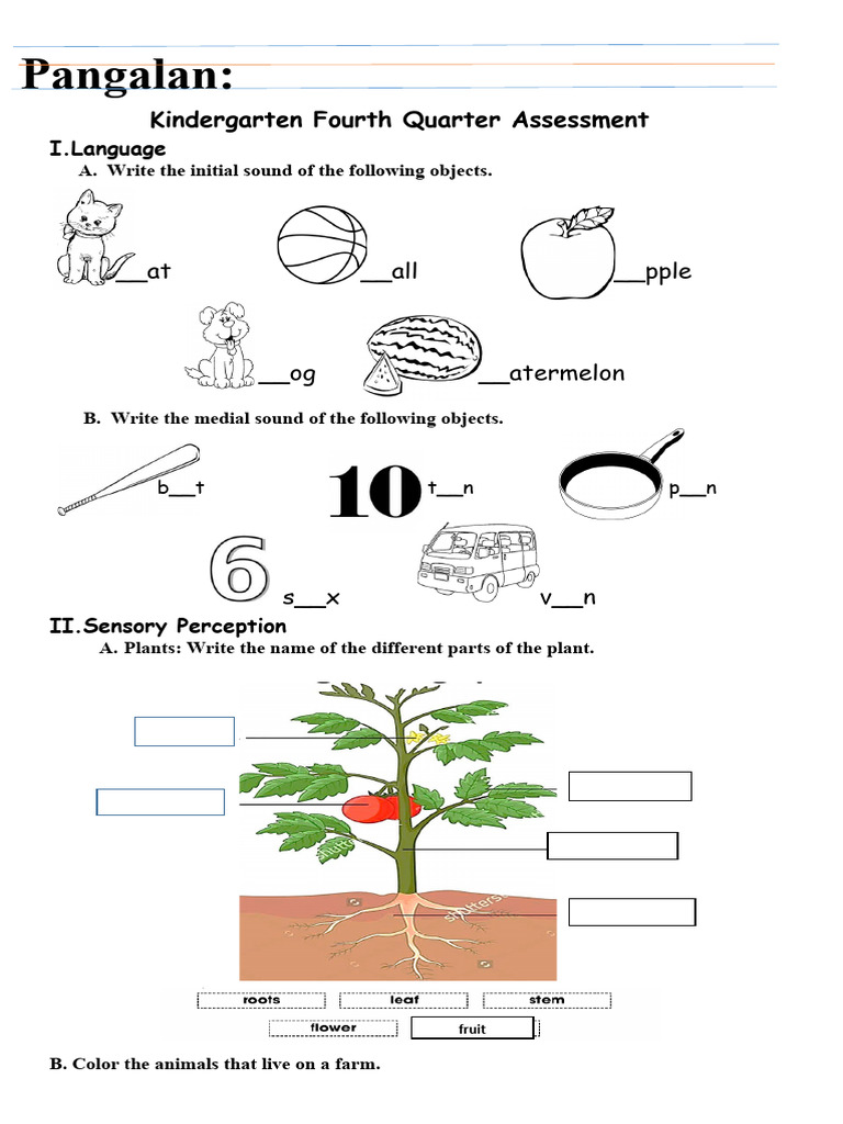 Kinder Assessment Fourth | PDF