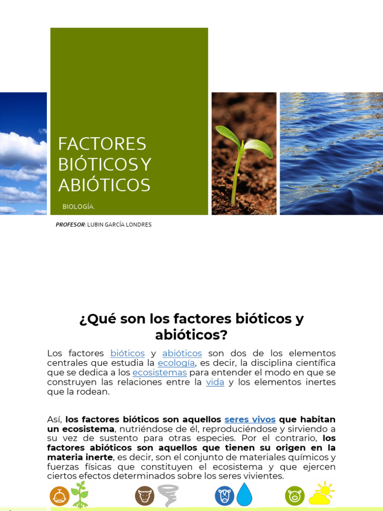 Factores Bióticos y Abióticos | PDF | Agua | Suelo
