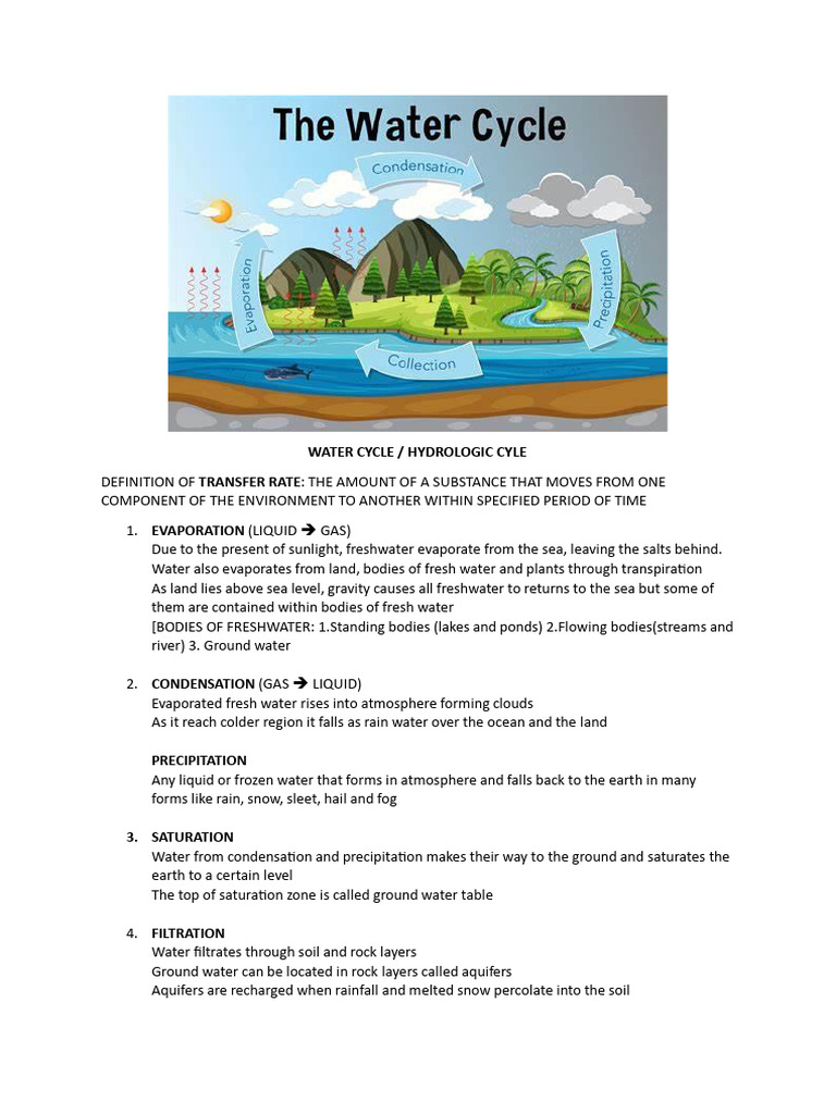Water Cycle | PDF
