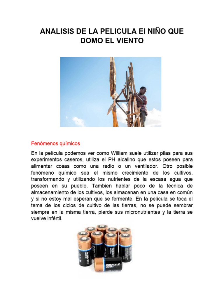 ANALISIS DE LA PELICULA El NIÑO QUE DOMO EL VIENTO | PDF