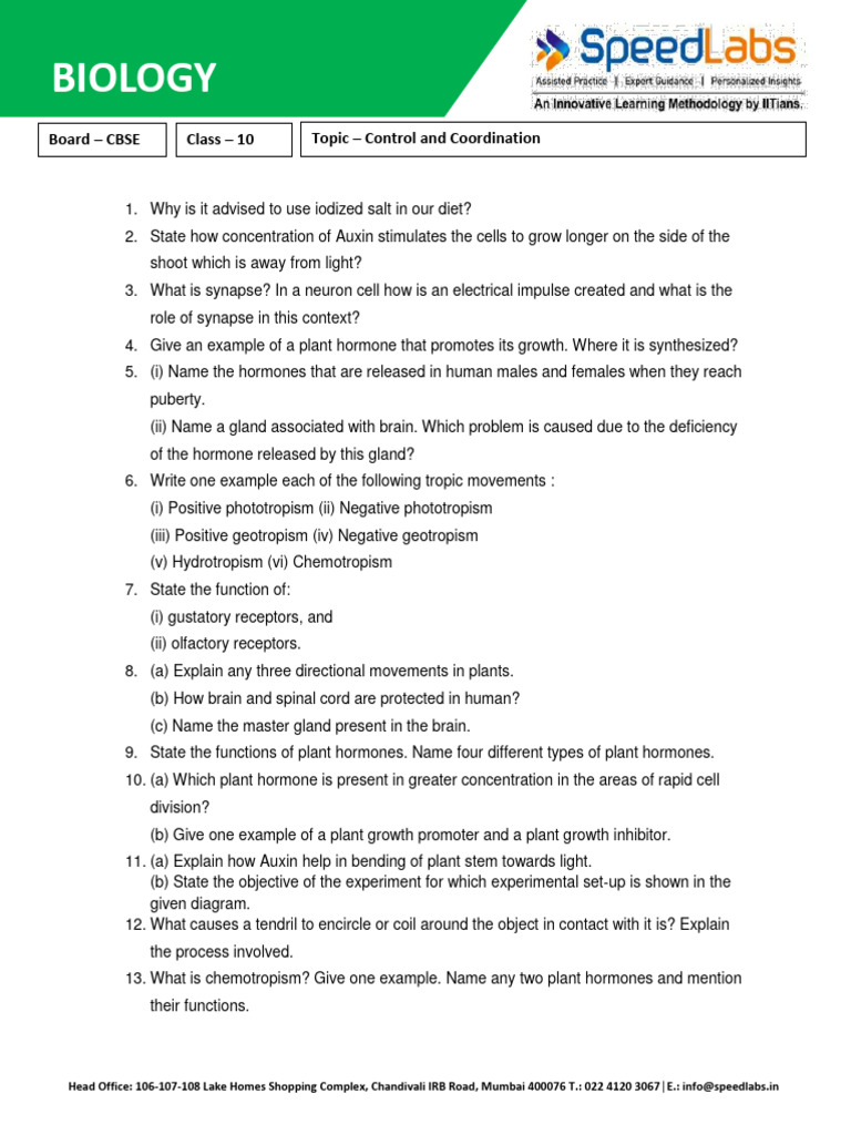 Biology Nervous System PDF | PDF | Hormone | Brain