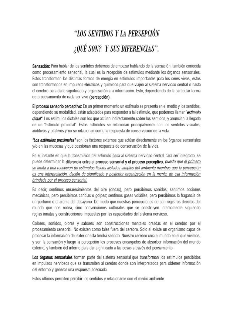 Los Sentidos y La Persepción | PDF | Sentidos | Percepción