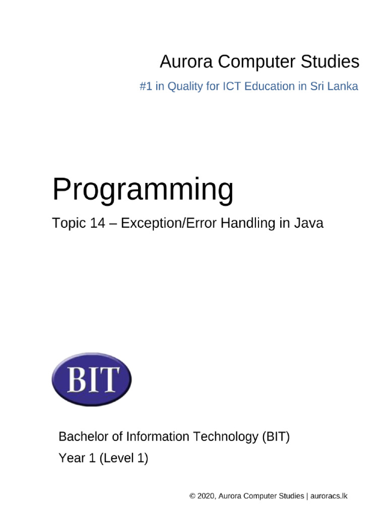 14 Exception Error Handling Flattened | PDF