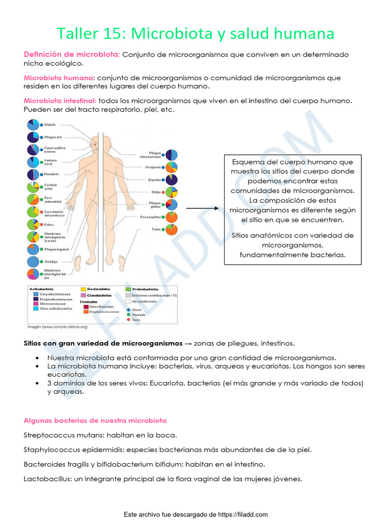 Microbiota Humana: Salud y Funciones | PDF | Proteínas | Las bacterias