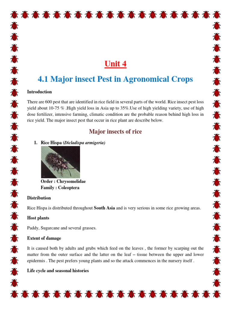 Ento Unit 4 Note Final Print | PDF | Beetle | Pupa