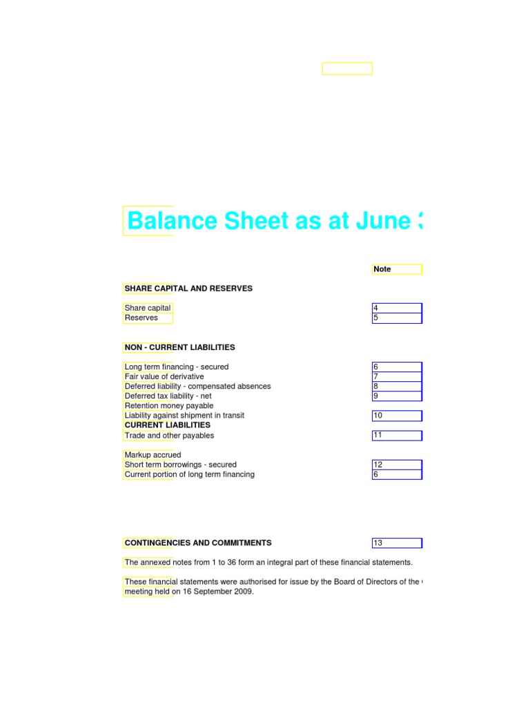 Balance Sheet Summary June 30, 2009 | PDF