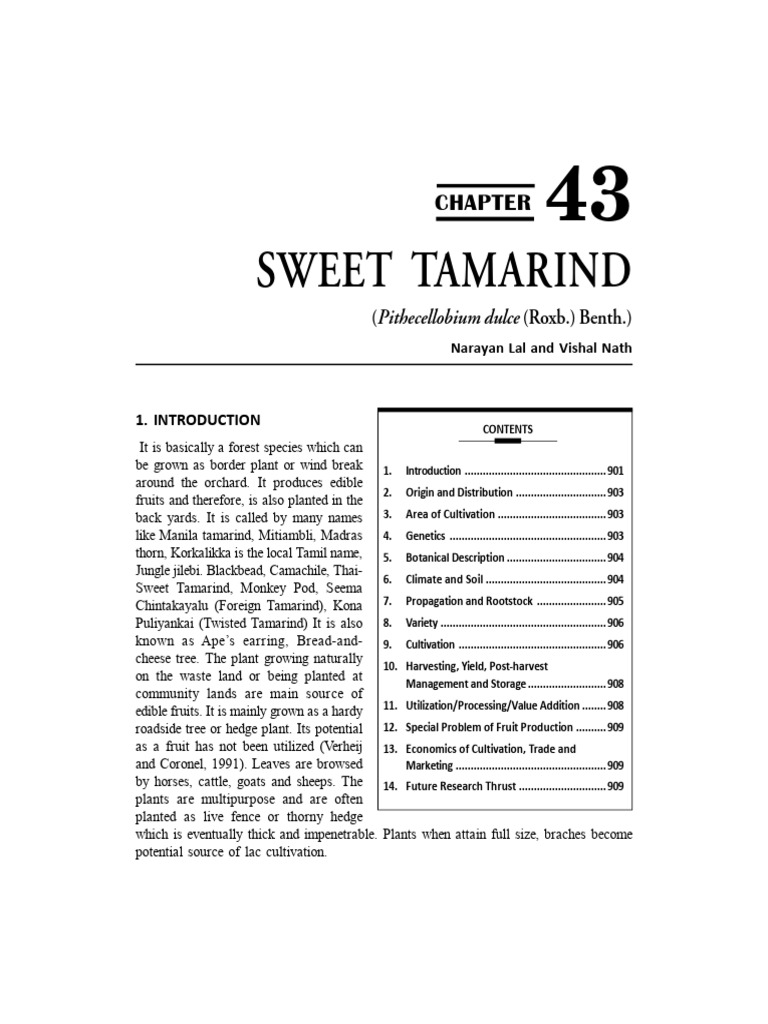 Sweet tamarind | PDF | Trees | Pruning