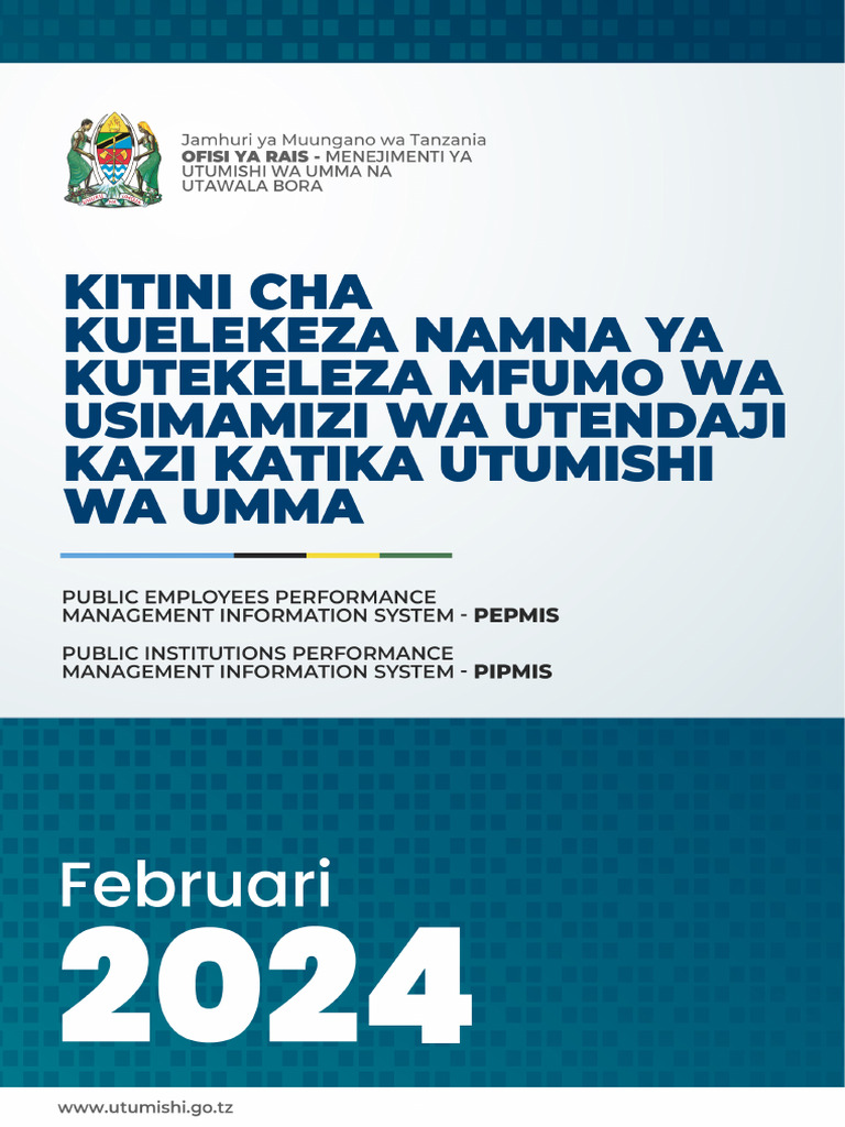 Kitini Cha Utekelezaji Wa Mfumo Wa Pepmis & Pipmis Machi, 2024 | PDF