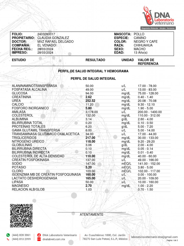 Pollo 2403280017 | PDF | Histología | Sangre