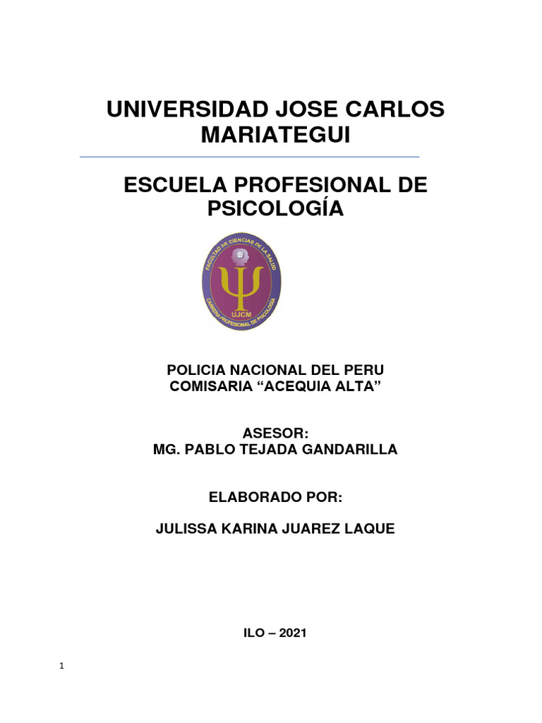 Informe Final PS Social | PDF | Policía | Valores