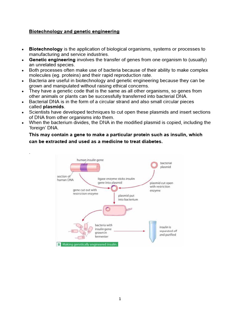 Bacteria's Role in Biotechnology and Genetics | PDF | Bacteria | Plasmid
