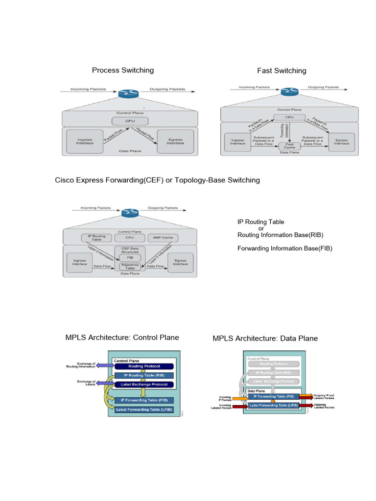 Introducing Basic MPLS Concepts Photos | PDF