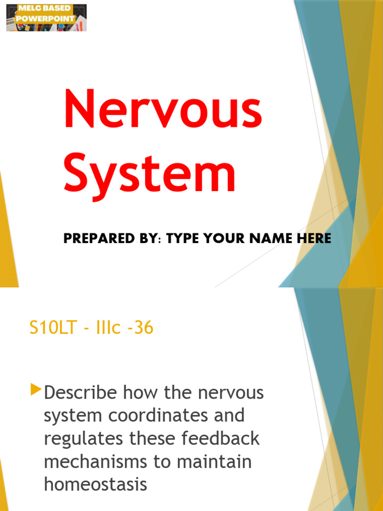 G10 Science Q3 Week 3 Nervous System | PDF | Nervous System | Motor Neuron
