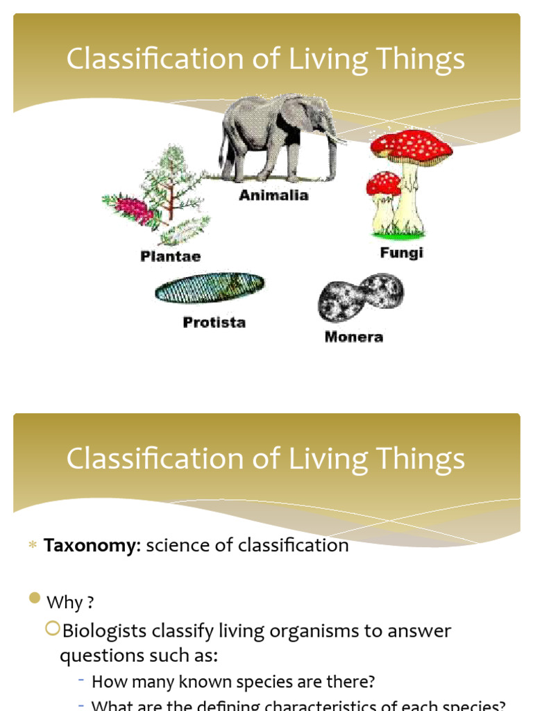 Taxonomy and Classification of Organisms | PDF | Cell (Biology ...