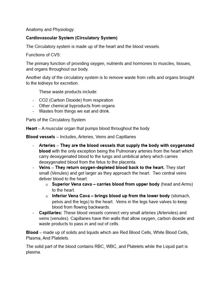 ANAPHY Final | PDF | Blood | Artery