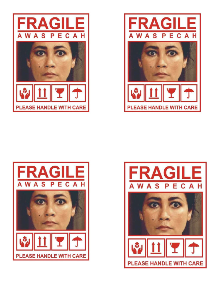 Fragile | PDF