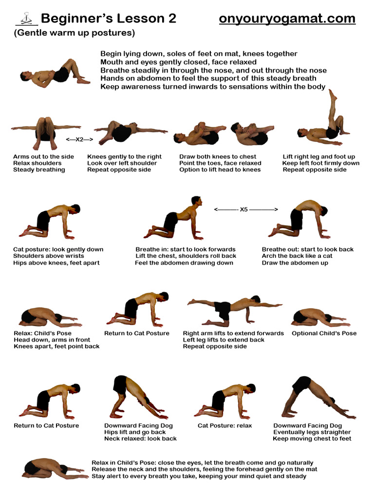 Warm Up Sequence For Beginners | PDF