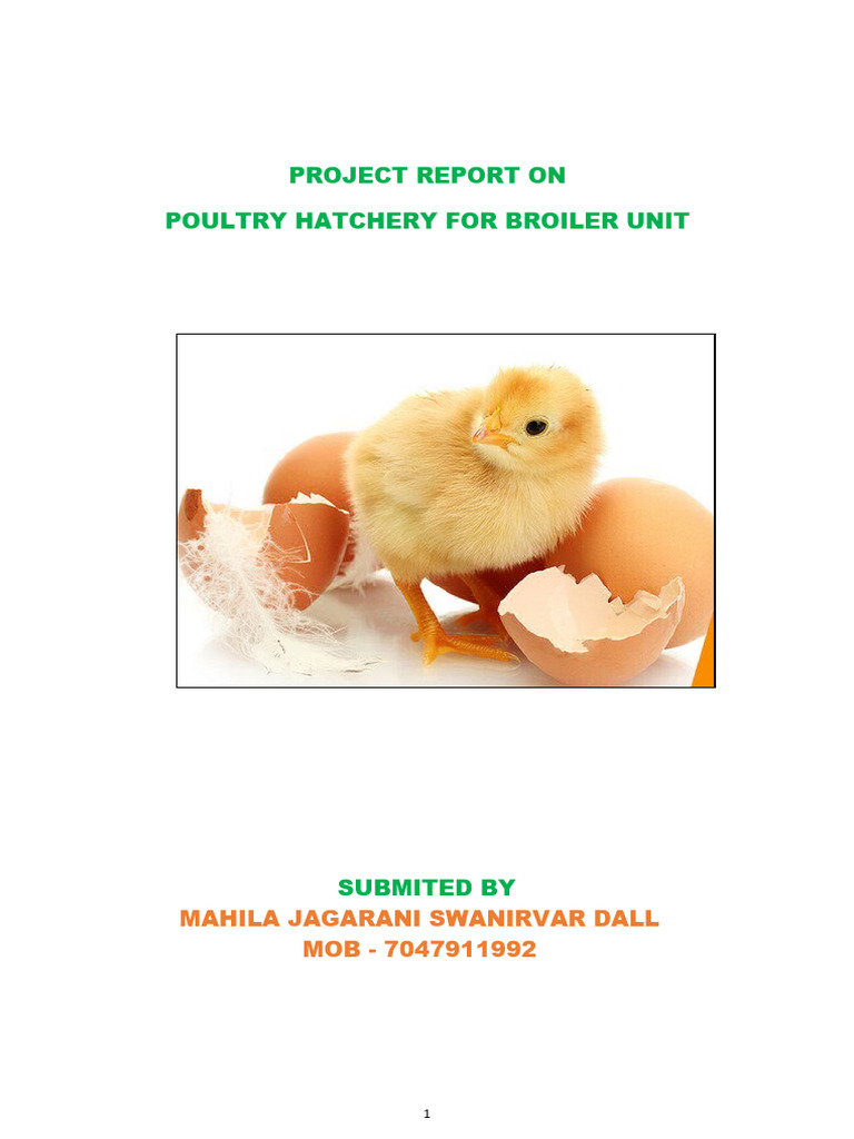 Broiler Hatchery | PDF | Meat | Chicken