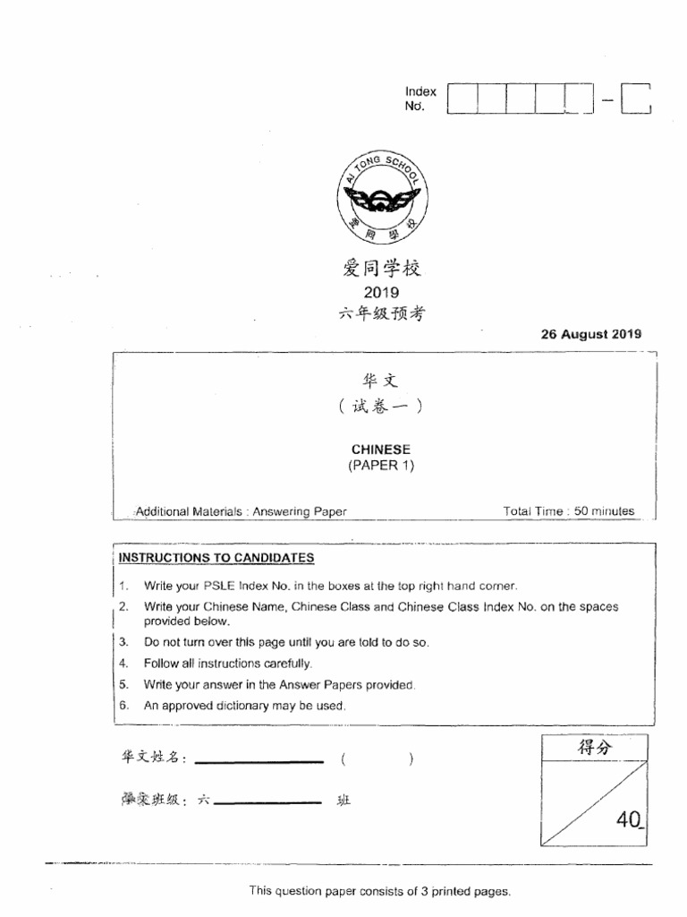P6_Chinese_SA2_2019_Ai_Tong_Exam_Papers | PDF