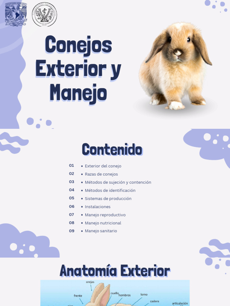 Anatomía y Manejo de Conejos | PDF
