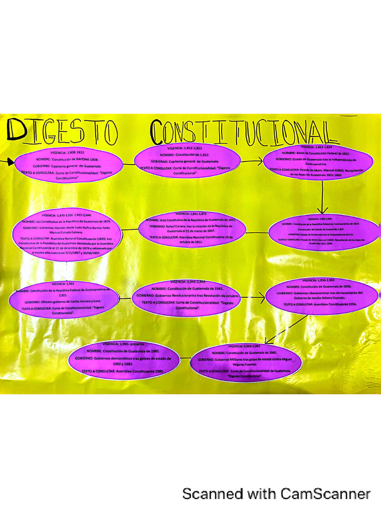 Digesto Constitucional | PDF