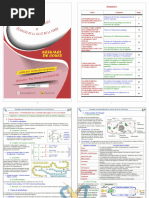 Maxi Maths 2 Bac SM A Et B Tome 1 | PDF | Business